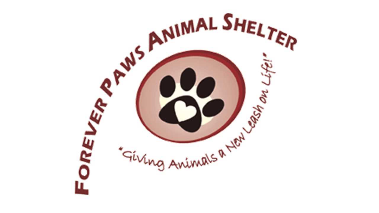 Donate to Forever Paws Animal Shelter | Kuranda ShelterBeds