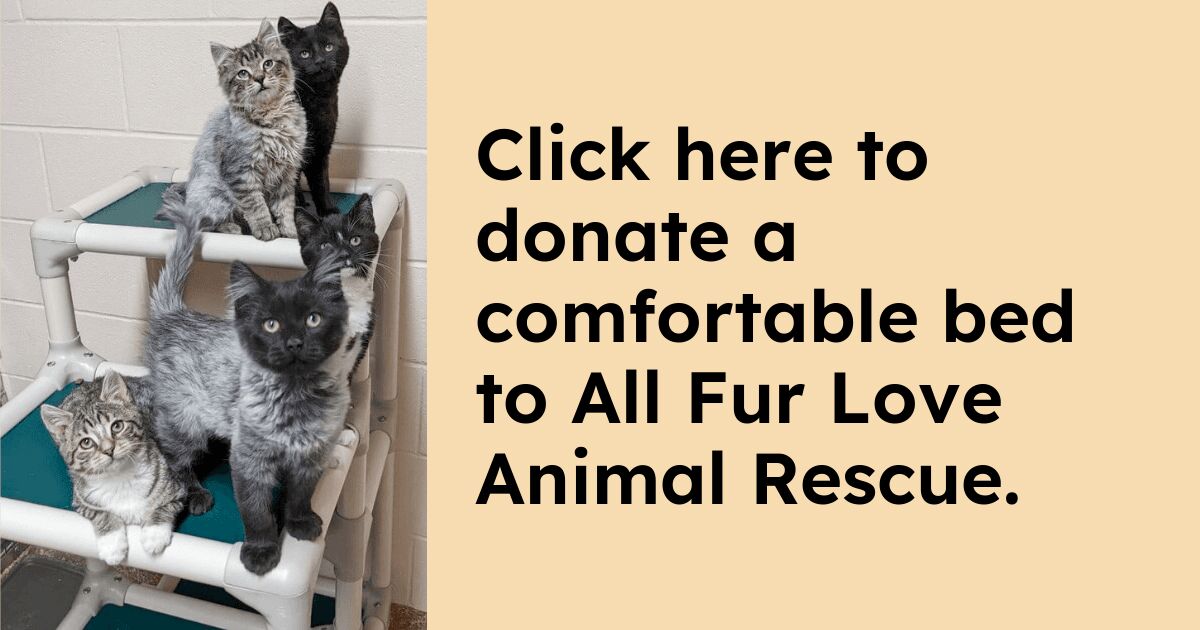 Donate to All Fur Love Animal Rescue | Kuranda ShelterBeds
