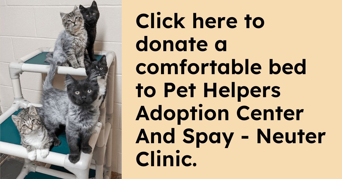 Donate to Pet Helpers Adoption Center And Spay - Neuter Clinic ...