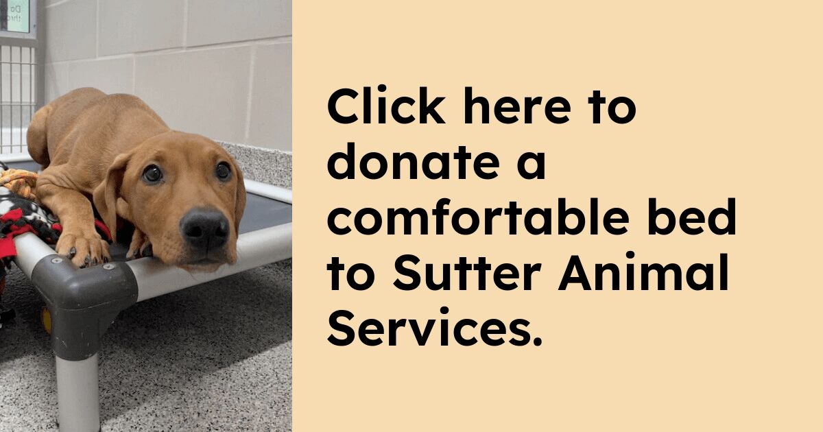 Donate to Sutter Animal Services | Kuranda ShelterBeds