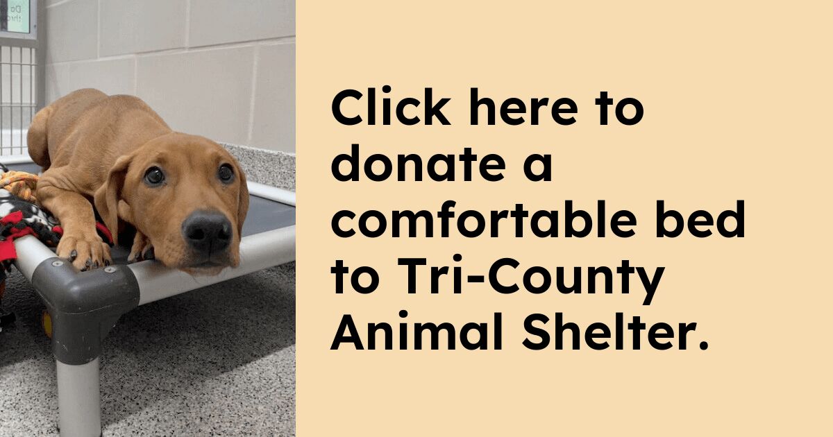 Donate to Tri-County Animal Shelter | Kuranda ShelterBeds