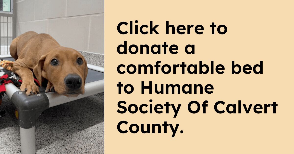 Donate to Humane Society Of Calvert County | Kuranda ShelterBeds