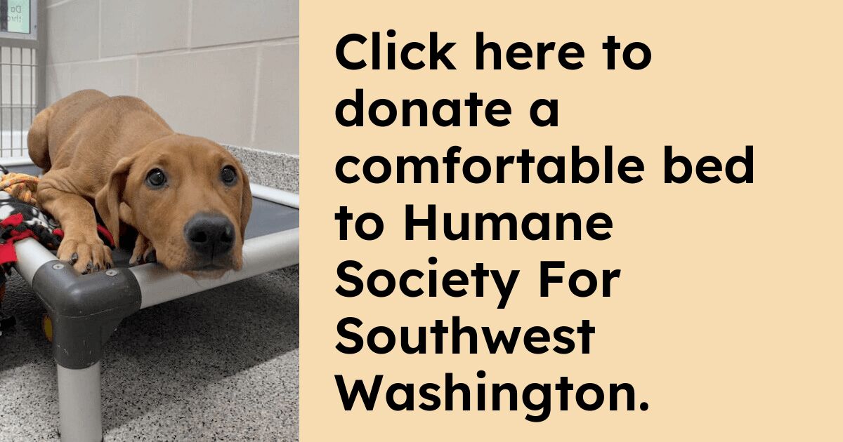 Donate to Humane Society For Southwest Washington | Kuranda ShelterBeds
