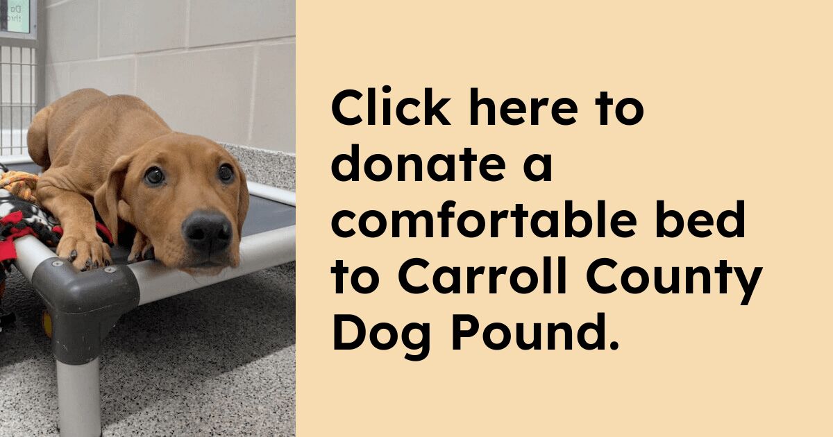 Donate to Carroll County Dog Pound | Kuranda ShelterBeds