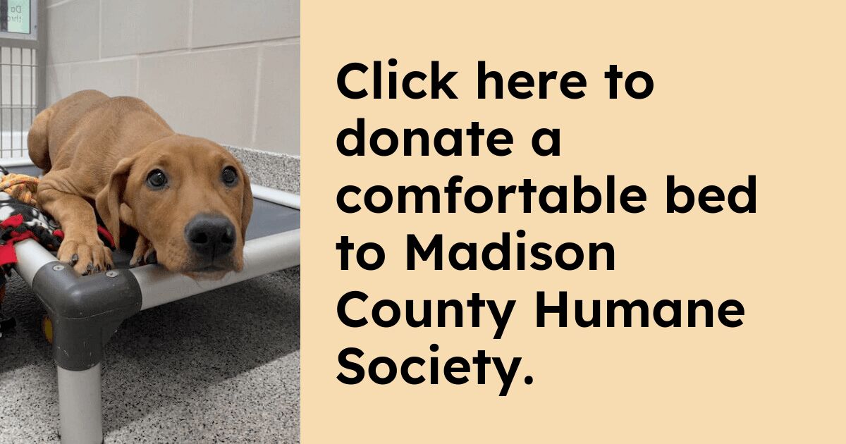 Donate to Madison County Humane Society | Kuranda ShelterBeds