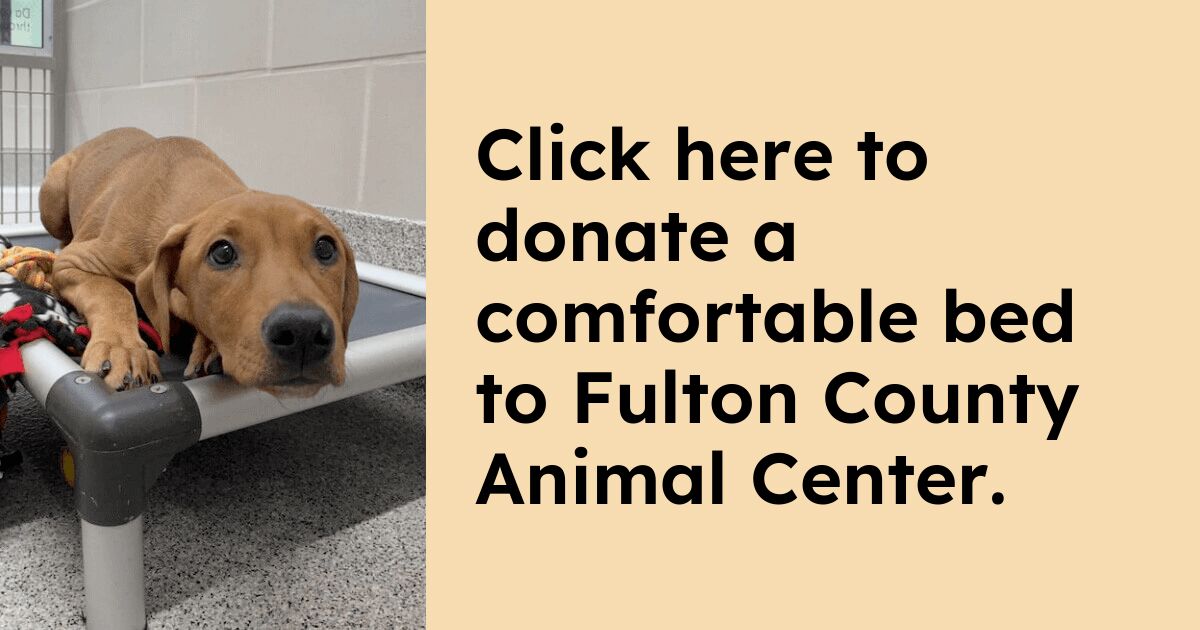 Donate to Fulton County Animal Center | Kuranda ShelterBeds