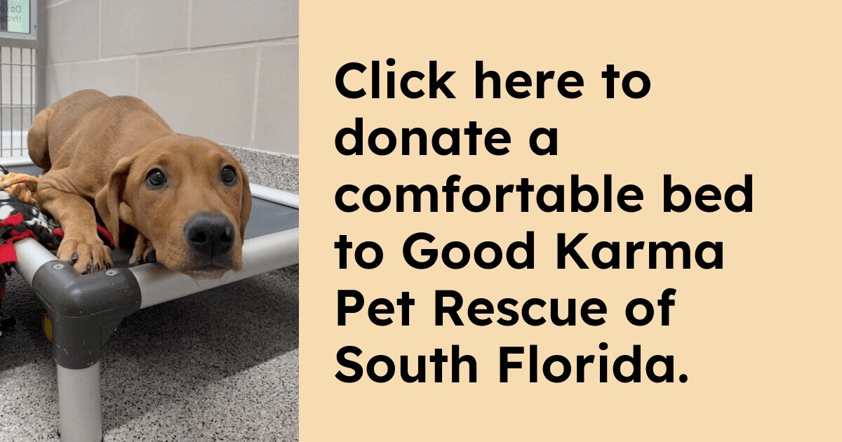 Donate to Good Karma Pet Rescue of South Florida | Kuranda ShelterBeds