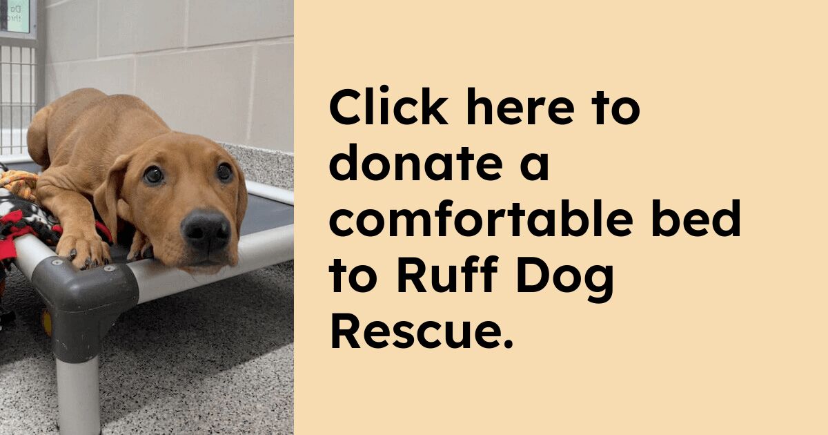 Donate to Ruff Dog Rescue | Kuranda ShelterBeds