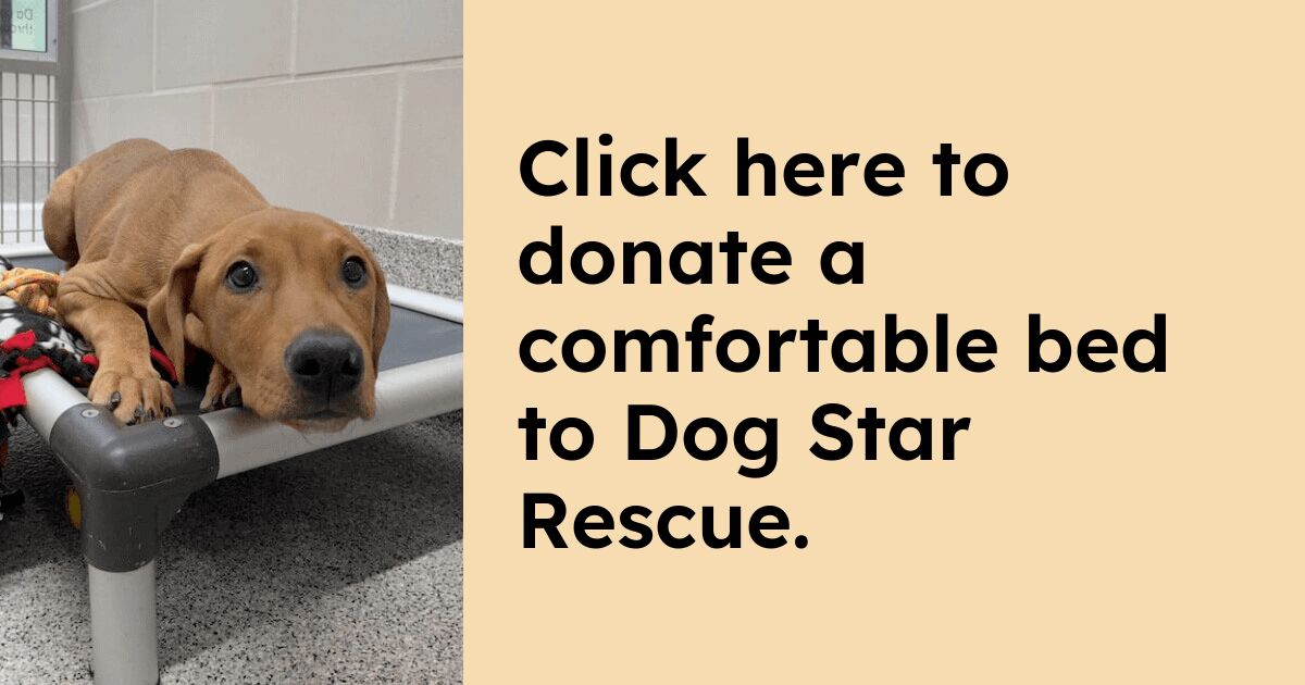 Donate to Dog Star Rescue | Kuranda ShelterBeds