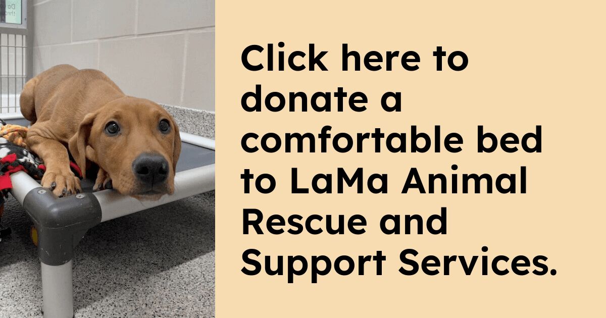 Donate to LaMa Animal Rescue and Support Services | Kuranda ShelterBeds