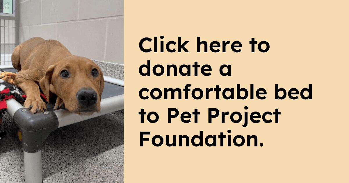 Donate to Pet Project Foundation | Kuranda ShelterBeds