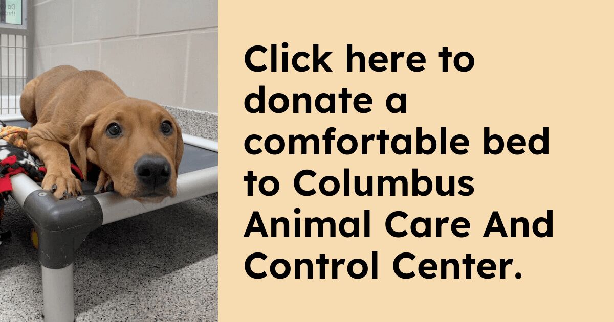 Donate to Columbus Animal Care And Control Center | Kuranda ShelterBeds