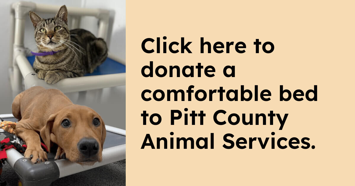 Donate to Pitt County Animal Services | Kuranda ShelterBeds