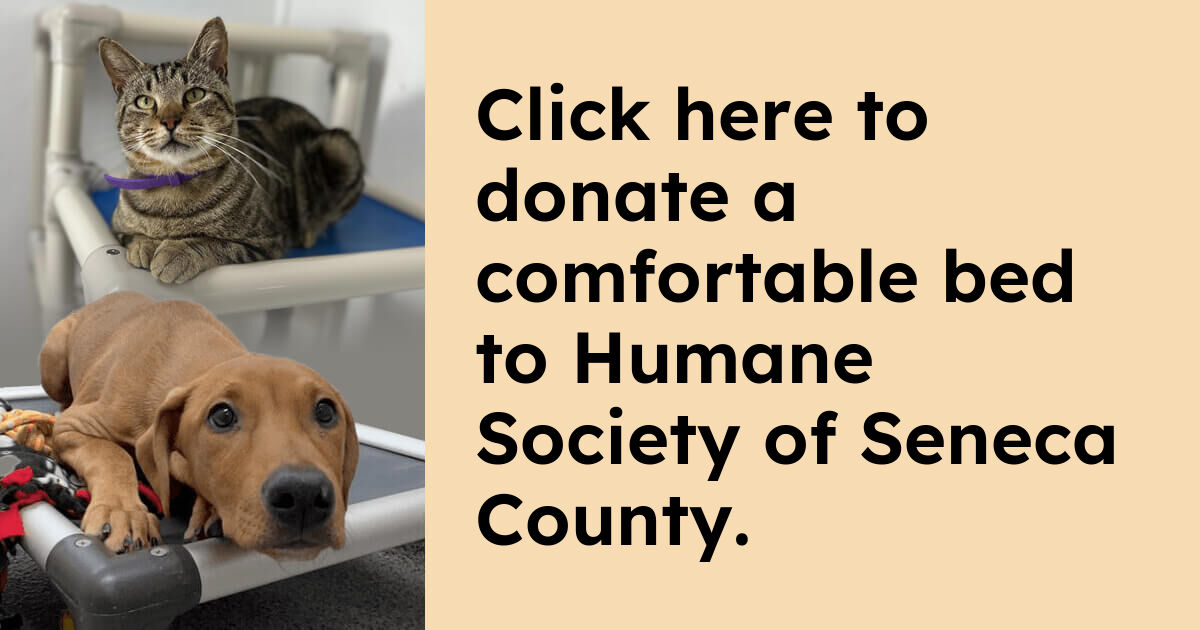 Donate to Humane Society of Seneca County | Kuranda ShelterBeds