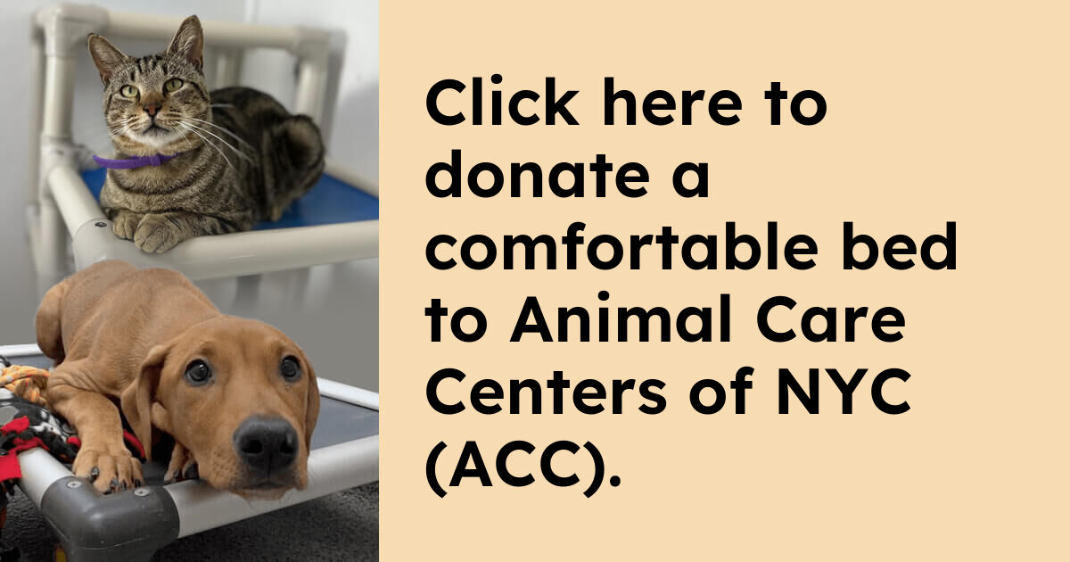 Donate to Animal Care Centers of NYC (ACC) | Kuranda ShelterBeds
