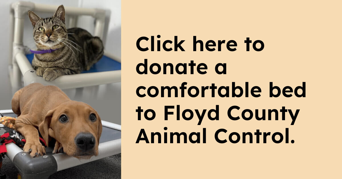 Donate to Floyd County Animal Control | Kuranda ShelterBeds