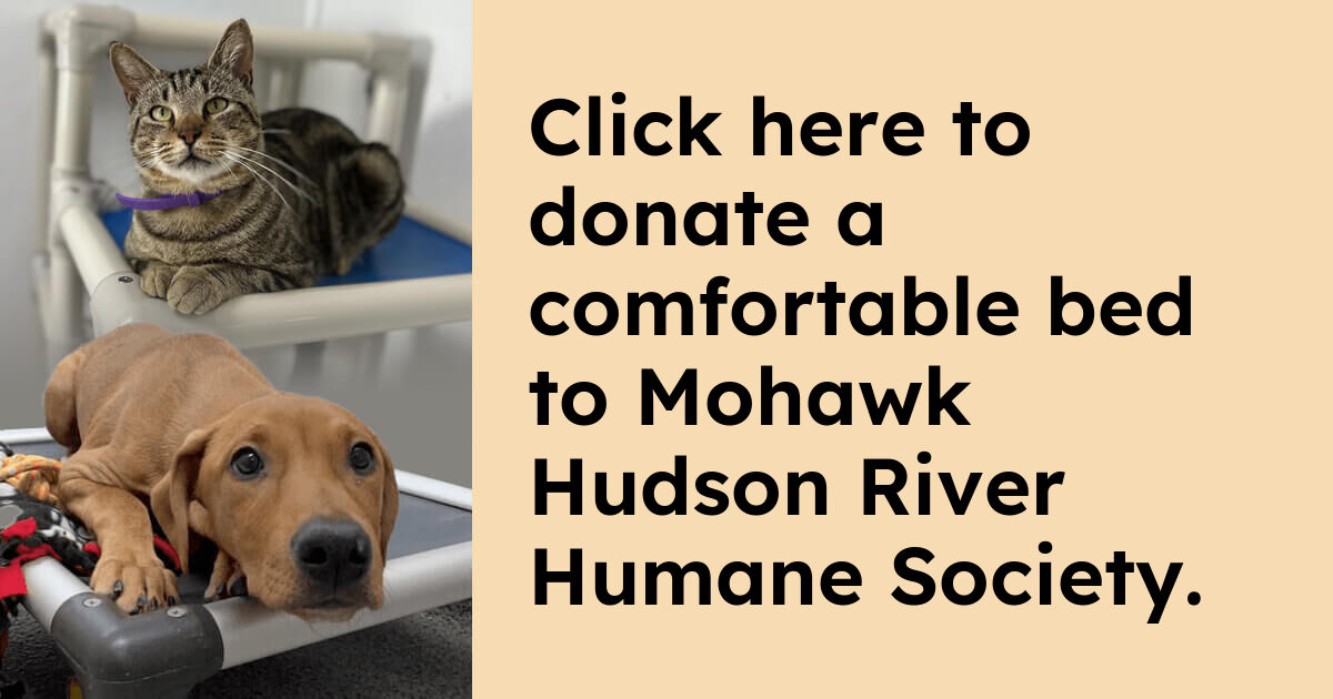 Donate to Mohawk Hudson River Humane Society | Kuranda ShelterBeds
