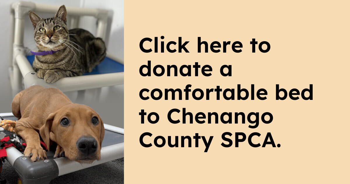 Donate to Chenango County SPCA | Kuranda ShelterBeds