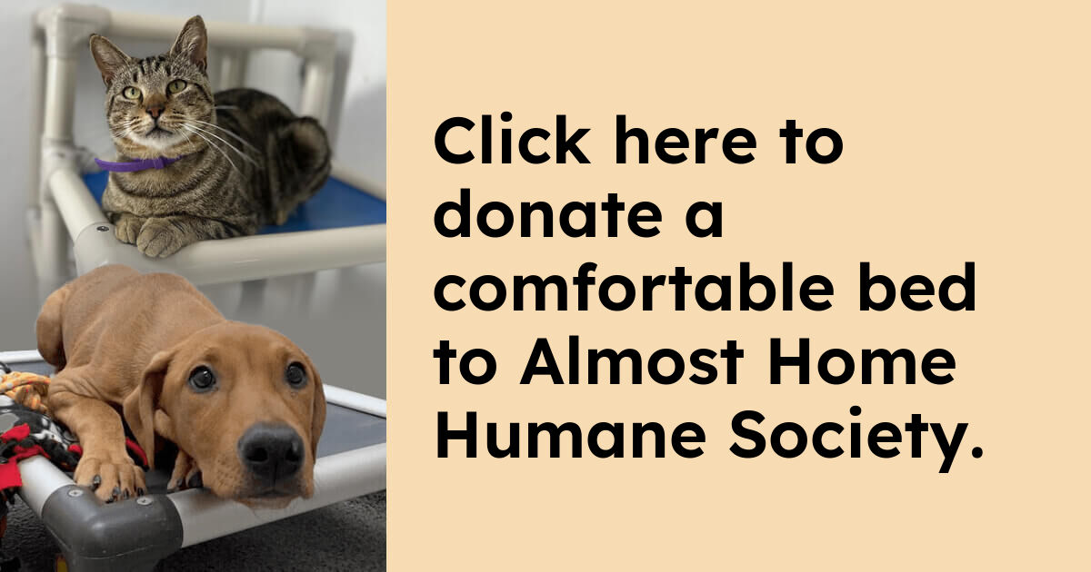 Donate to Almost Home Humane Society | Kuranda ShelterBeds