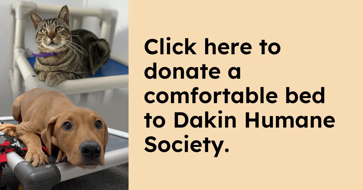 Donate to Dakin Humane Society | Kuranda ShelterBeds