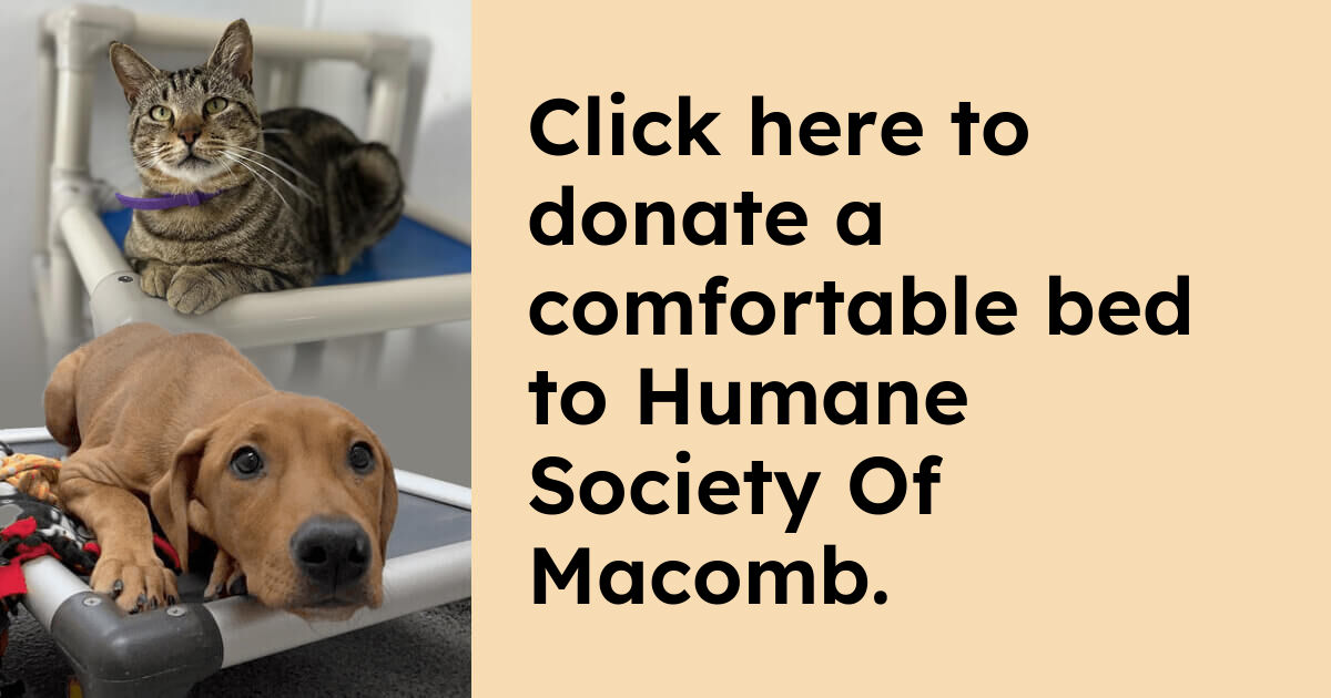 Donate to Humane Society Of Macomb | Kuranda ShelterBeds