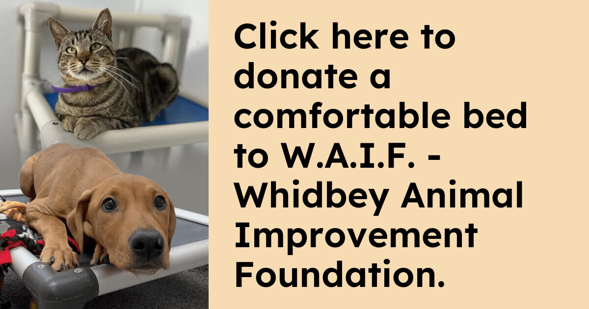 Donate to W.A.I.F. - Whidbey Animal Improvement Foundation | Kuranda ...