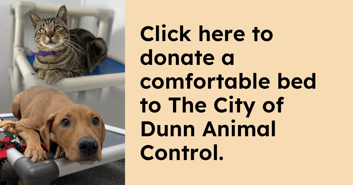 Donate to The City of Dunn Animal Control | Kuranda ShelterBeds