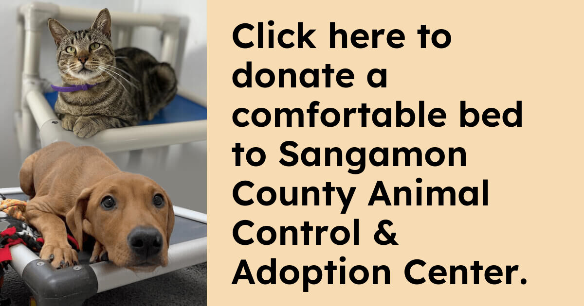Donate to Sangamon County Animal Control & Adoption Center | Kuranda ...