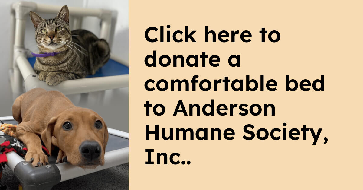 Donate to Anderson Humane Society, Inc. | Kuranda ShelterBeds