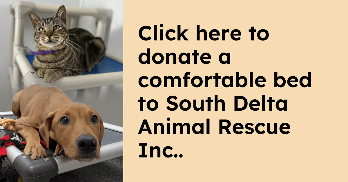 Donate to South Delta Animal Rescue Inc. | Kuranda ShelterBeds