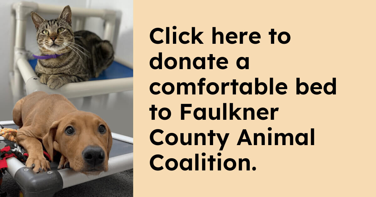 Donate to Faulkner County Animal Coalition | Kuranda ShelterBeds