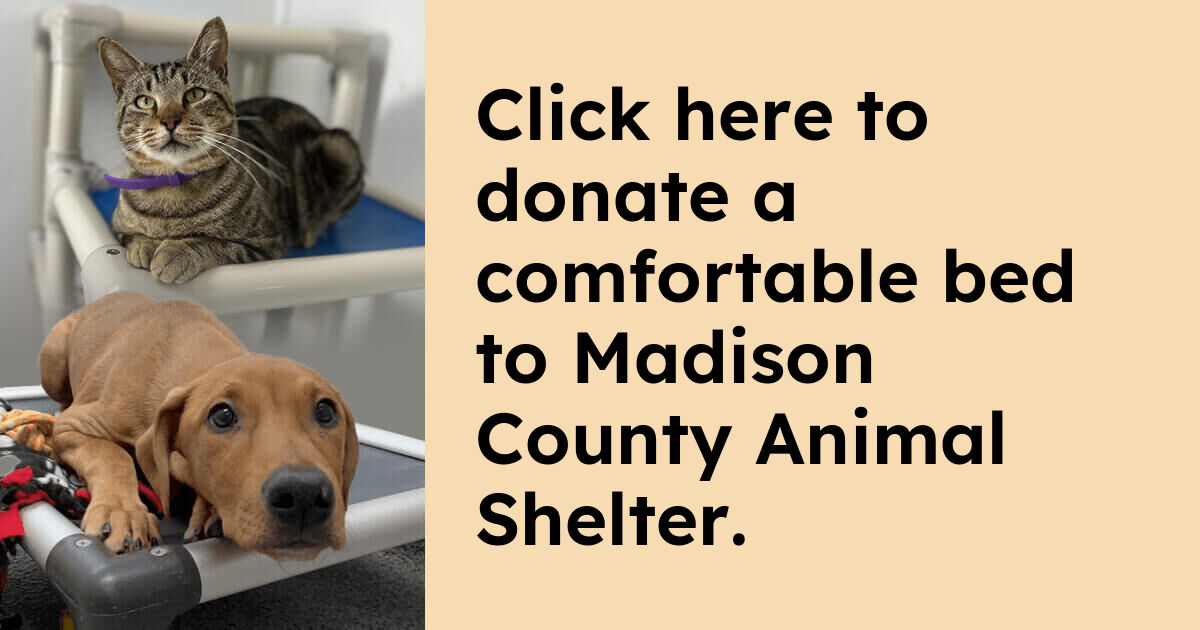 Donate to Madison County Animal Shelter | Kuranda ShelterBeds