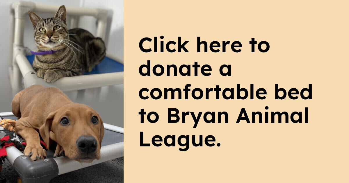 Donate to Bryan Animal League | Kuranda ShelterBeds