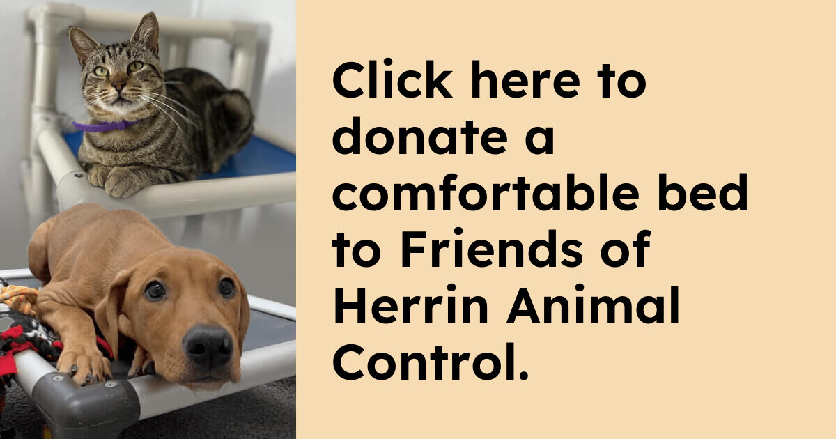 Donate to Friends of Herrin Animal Control | Kuranda ShelterBeds