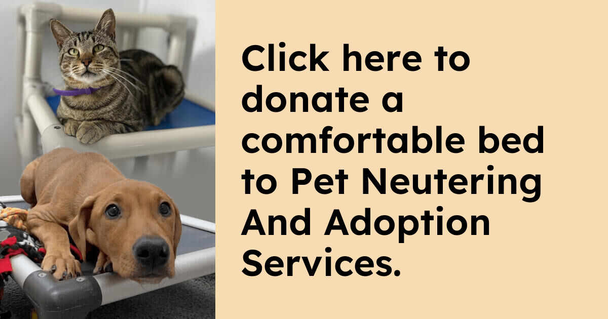 Donate to Pet Neutering And Adoption Services | Kuranda ShelterBeds
