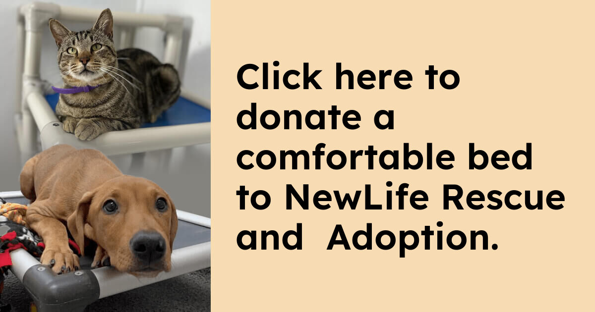 Donate to NewLife Rescue and Adoption | Kuranda ShelterBeds